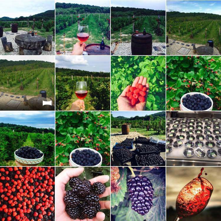 Ionel Burtea | Repatriot