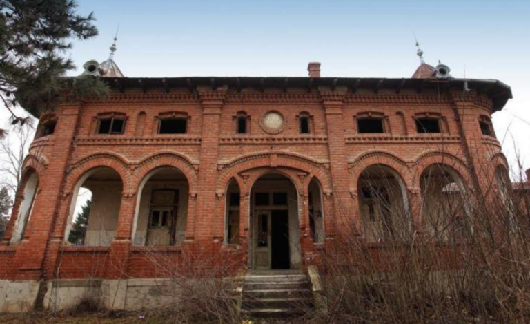 Conace de vânzare în România | Repatriot